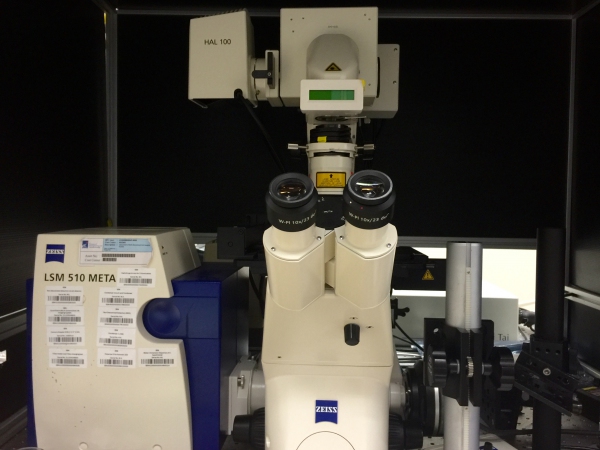 Translational Mechanobiology Laboratory Facilities