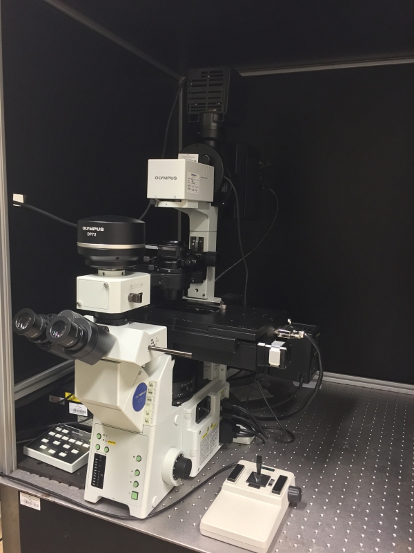 Translational Mechanobiology Laboratory Facilities