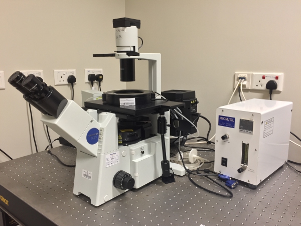 Translational Mechanobiology Laboratory Facilities